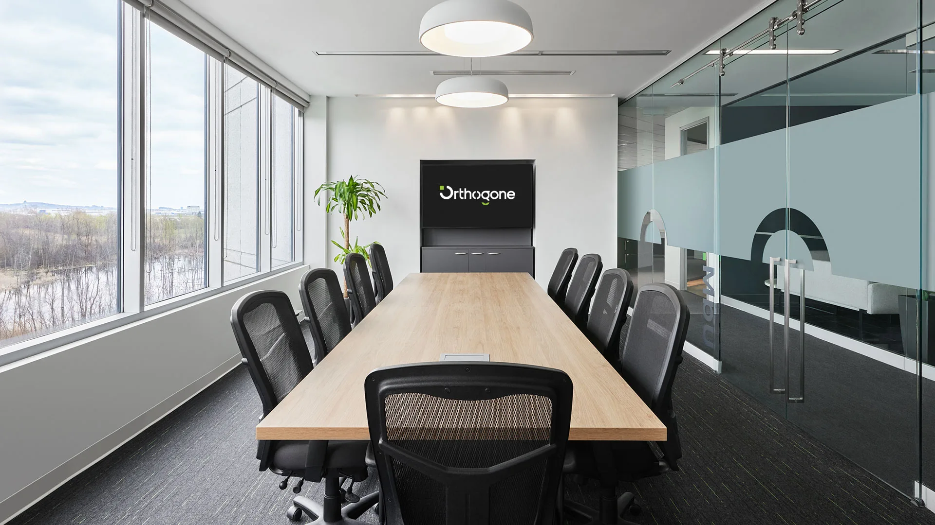 Get to know Orthogone's Board of Directors.